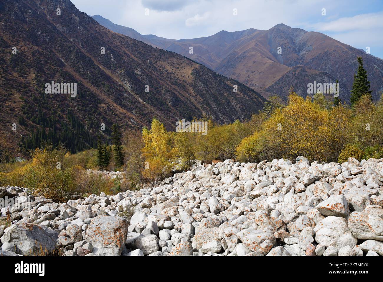 Ak Sai valley autumn landscape. Stone run, Tian Shan fir trees and view ...