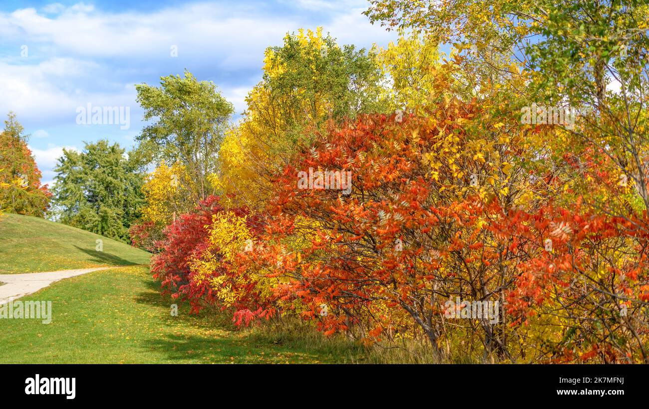 Autumn colors in a Toronto public park. Terraview Park in fall season ...