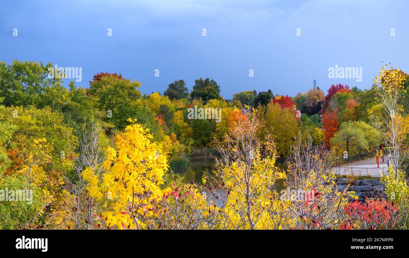 Autumn colors in a Toronto public park. Terraview Park in fall season ...