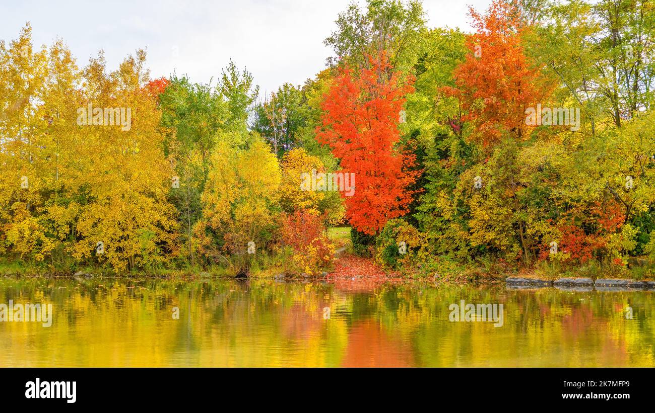 Autumn colors in a Toronto public park. Terraview Park in fall season ...