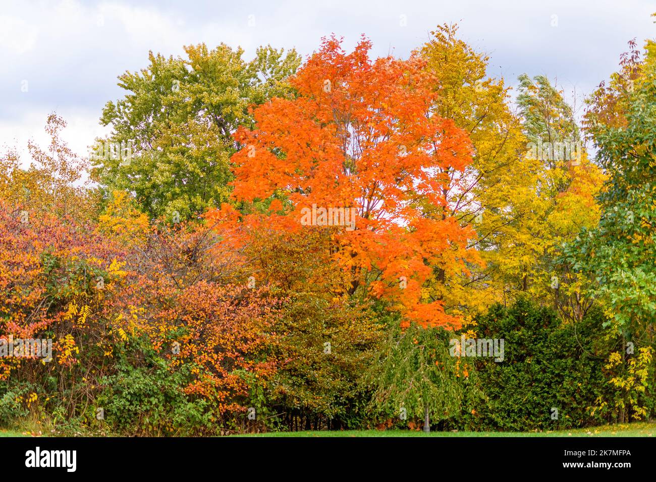 Autumn colors in a Toronto public park. Terraview Park in fall season ...