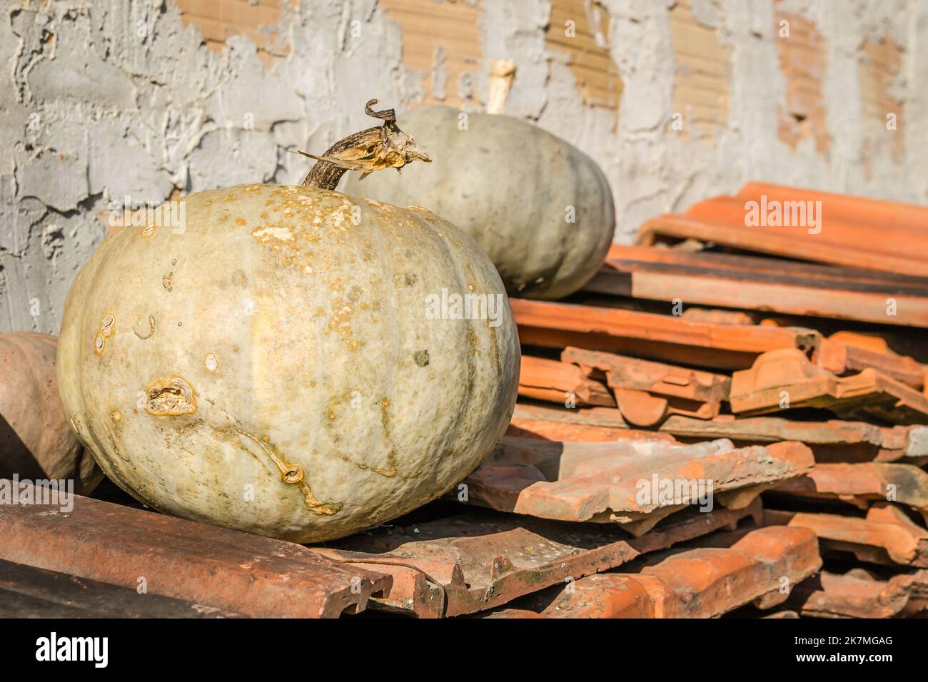 Fall festival scene hi-res stock photography and images - Alamy