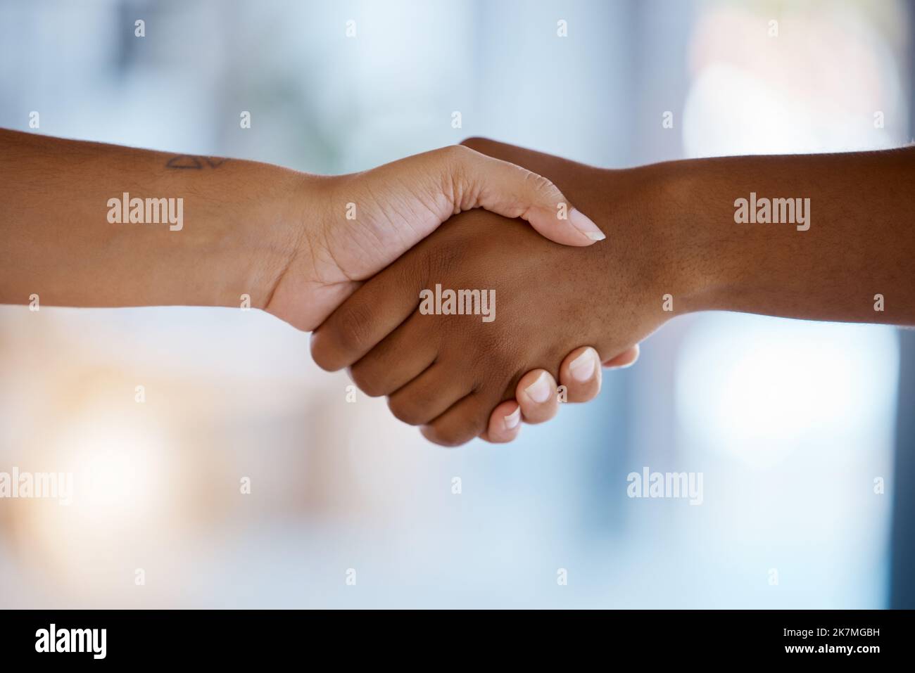 Diversity, handshake and business partnership in office in ...