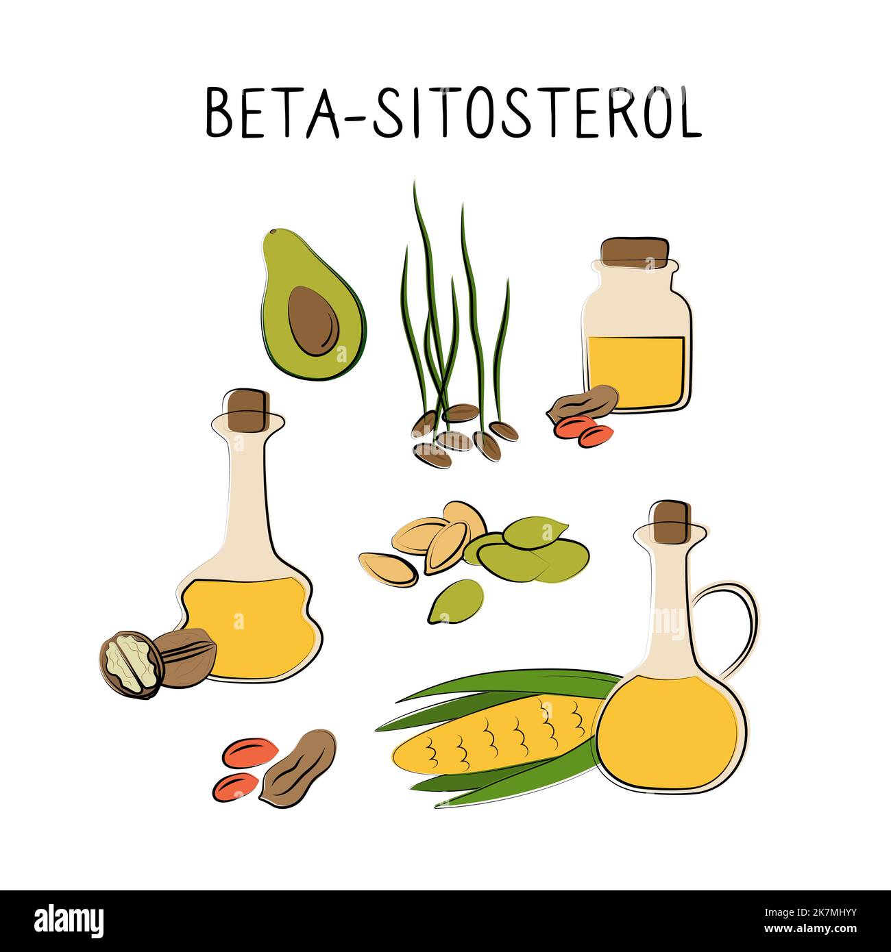 Beta-sitosterol-containing food. Groups of healthy products containing ...
