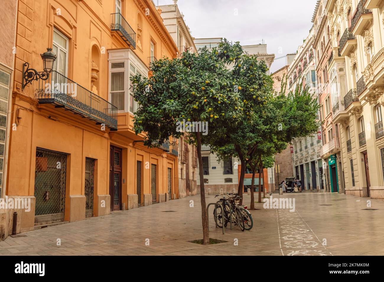 Valencia Spain Square with lemon or orange tree Stock Photo - Alamy