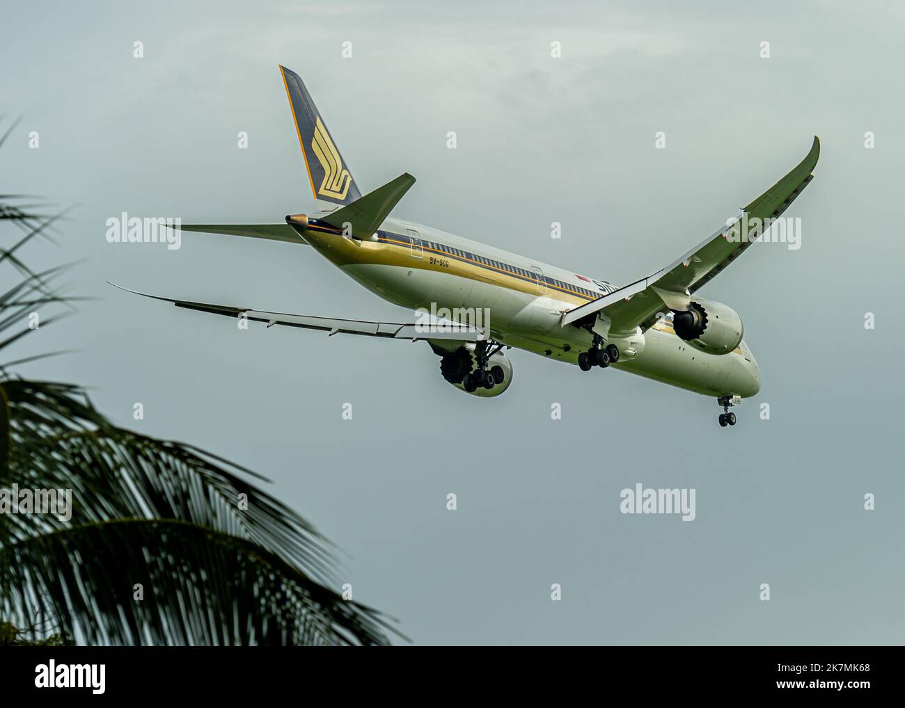 Singapore Airlines Boeing 787-10 Dreamliner on final approach into ...