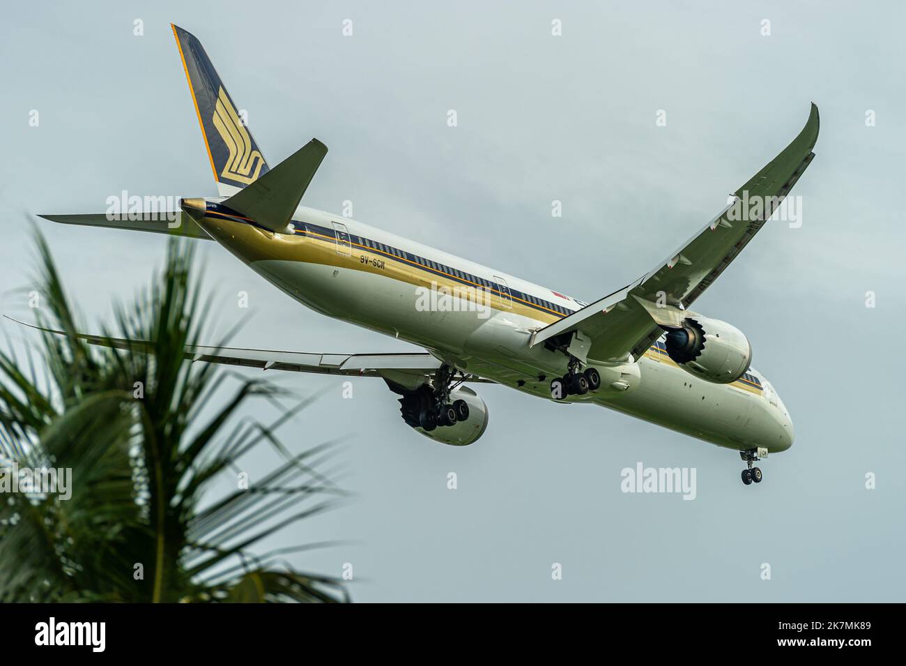 Boeing 787 dreamliner approach landing hi-res stock photography and ...