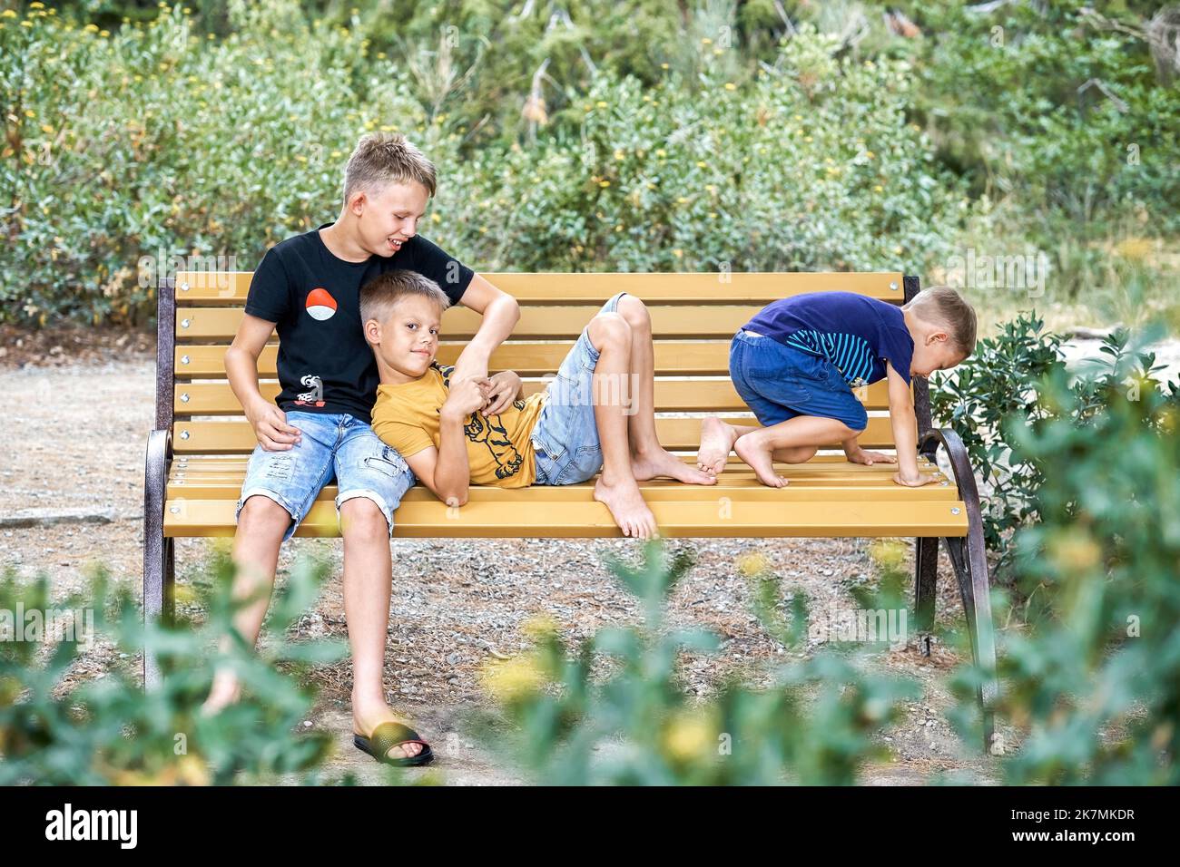 Boy siblings enjoy playing together sitting on wooden bench in park ...