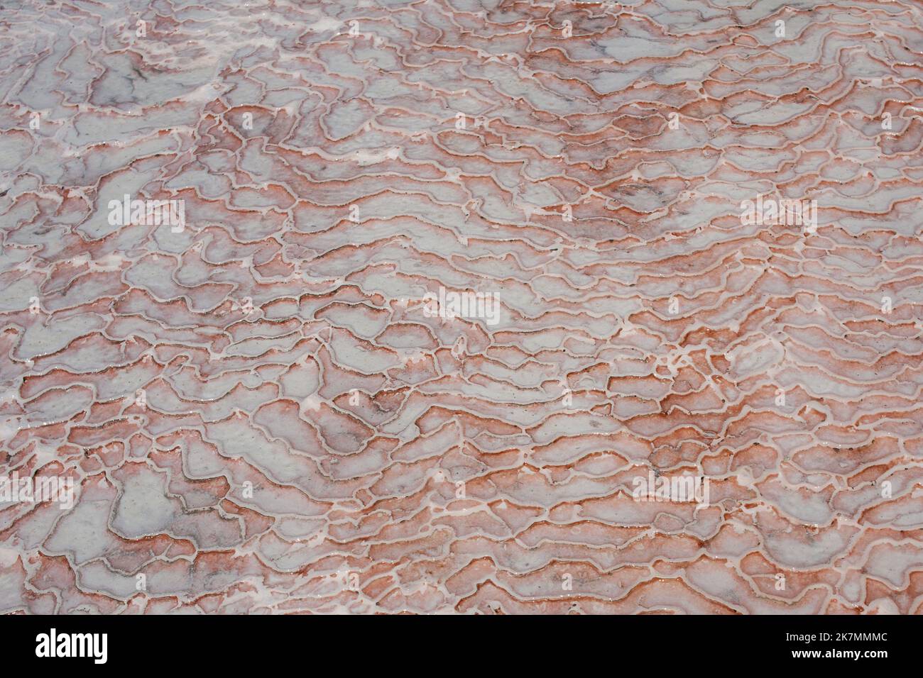 Limestone floor in Pamukkale calcium travertine in Turkey, asymmetric ...