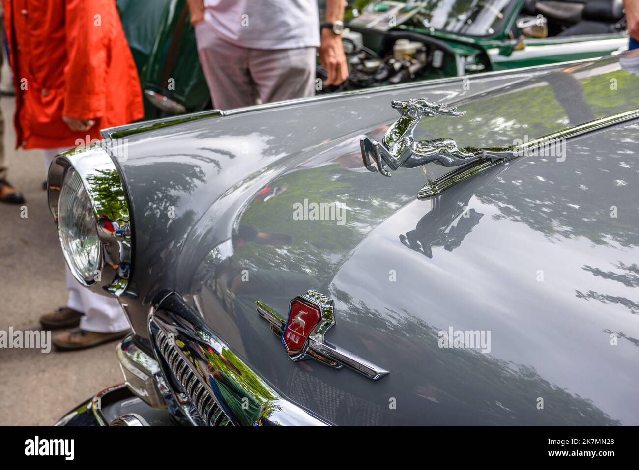 BADEN BADEN, GERMANY - JULY 2019: deer symbol logo emblem sign on the ...