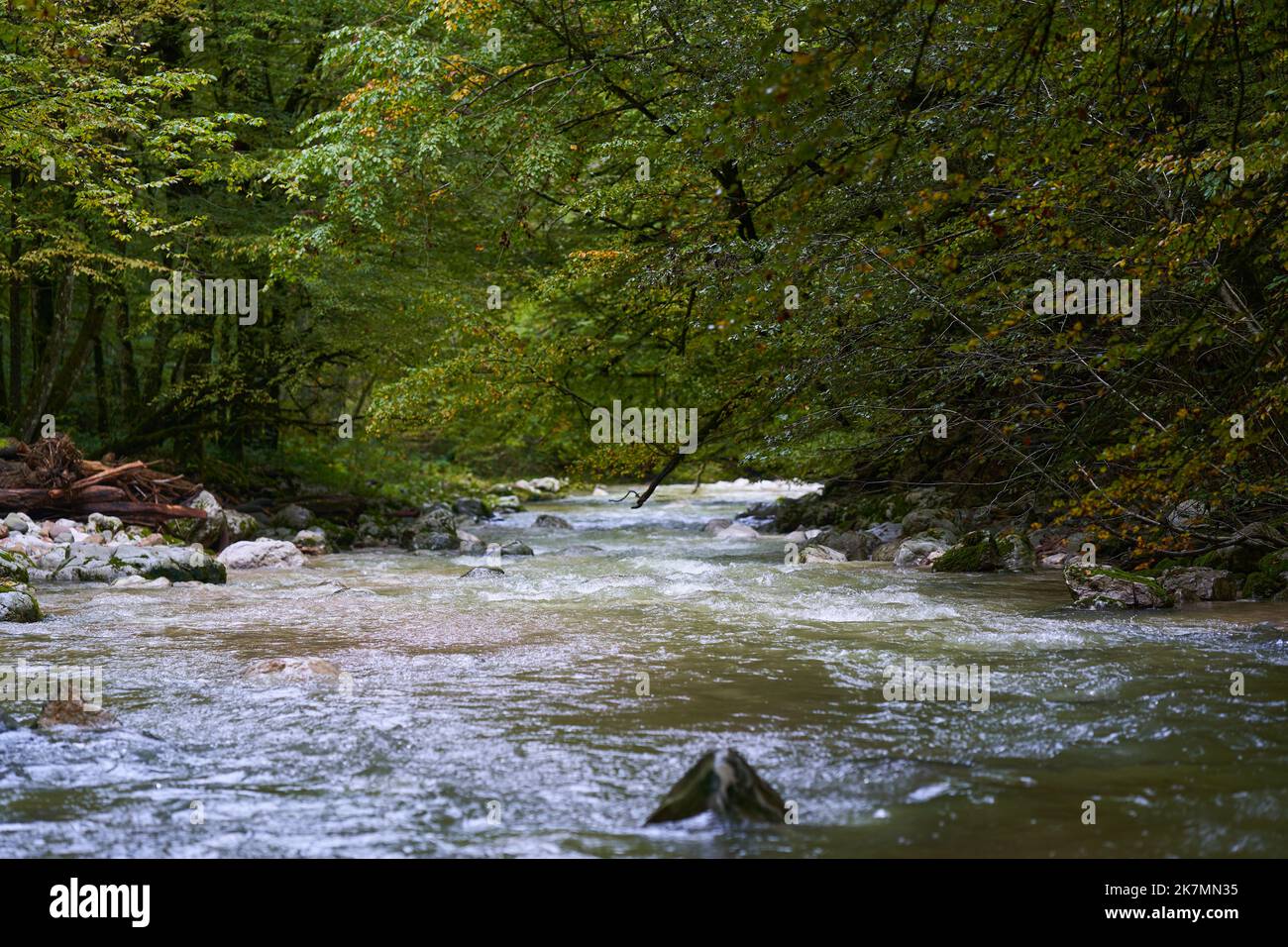 Galbena river flowing rapidly in the Jgheaburi canyon, in Apuseni ...