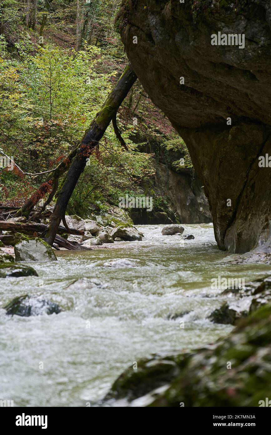 Galbena river flowing rapidly in the Jgheaburi canyon, in Apuseni ...