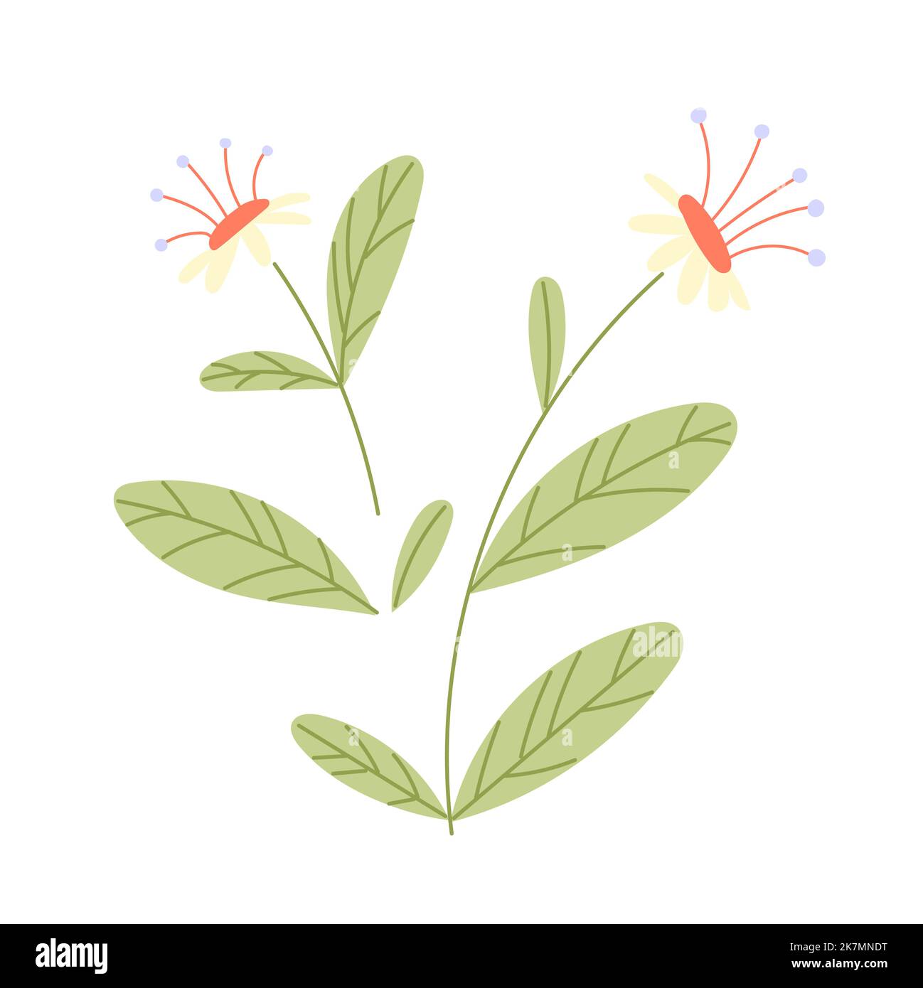 Blooming weed Stock Vector Images - Alamy
