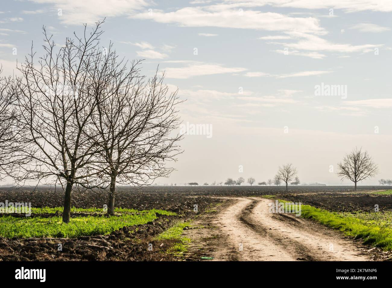 Agricultural arable land hi-res stock photography and images - Alamy