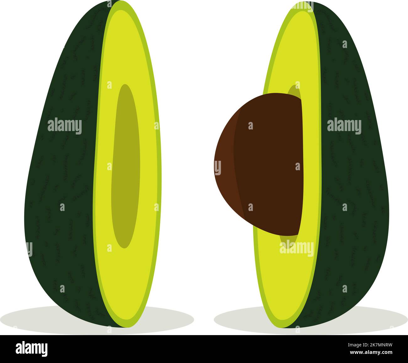 Half an avocado with a pit. Vector illustration Stock Vector Image ...