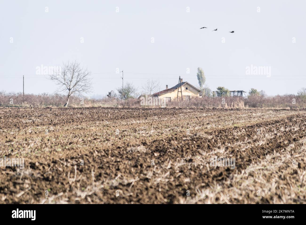 Texture agricultural land in hi-res stock photography and images - Alamy
