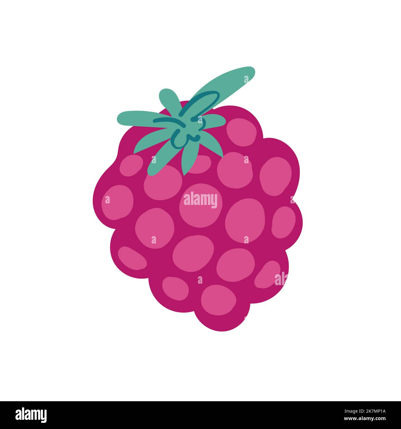 Raspberry on white background vector illustration Stock Vector Image ...