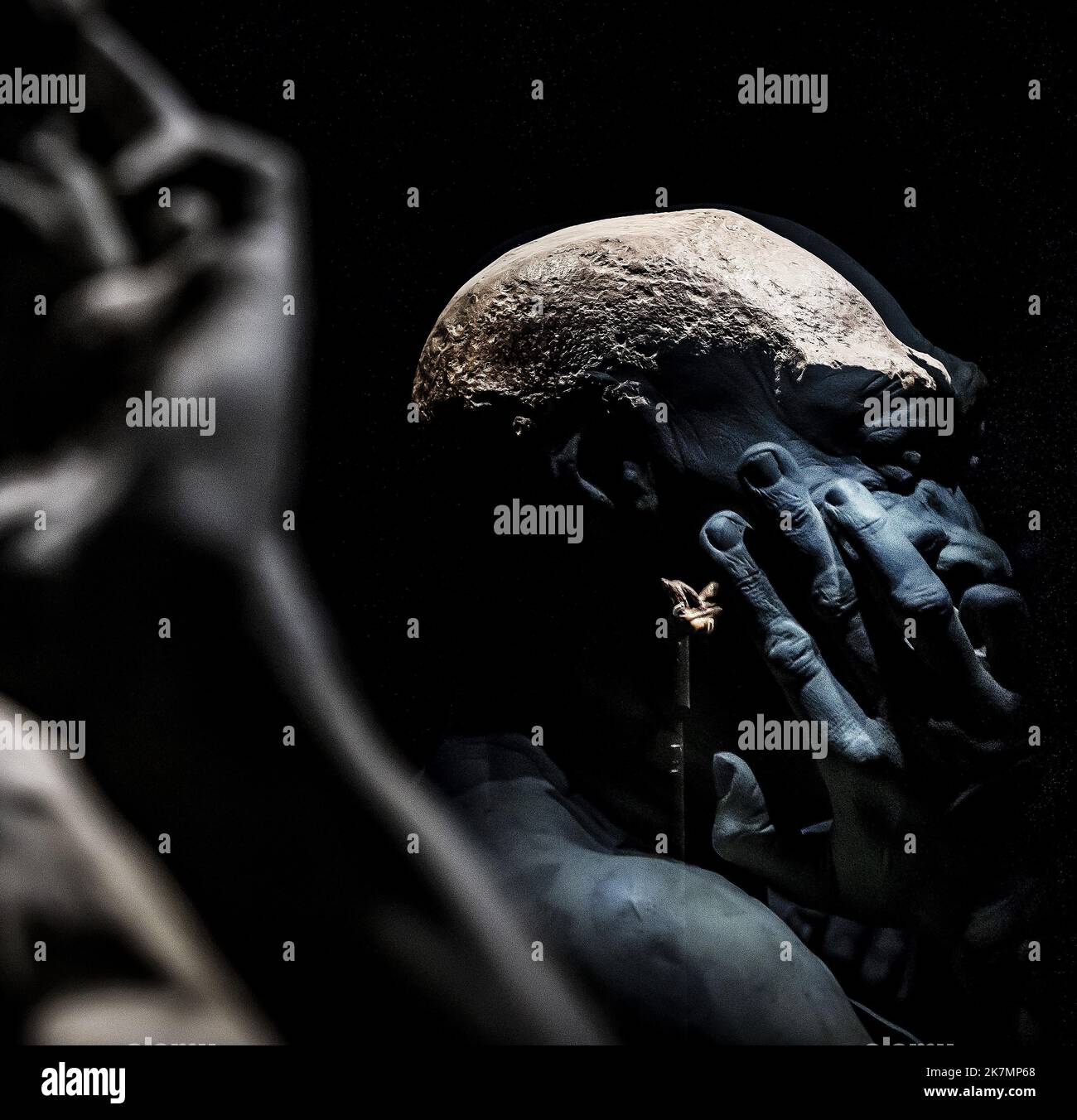 Menselijk skelet hi-res stock photography and images - Alamy