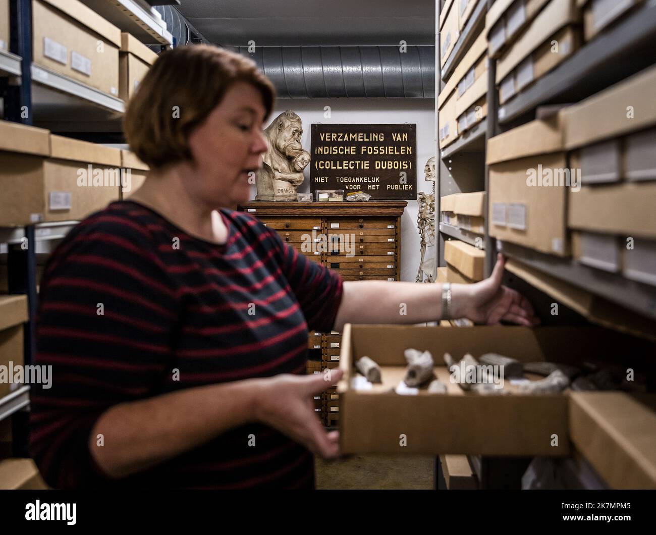 2022-10-18 11:52:57 LEIDEN - Fossils are stored in the collection tower ...