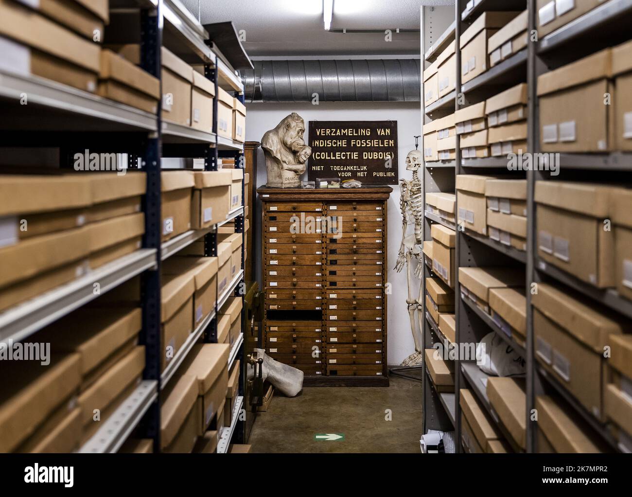2022-10-18 11:51:50 LEIDEN - Fossils are stored in the collection tower ...