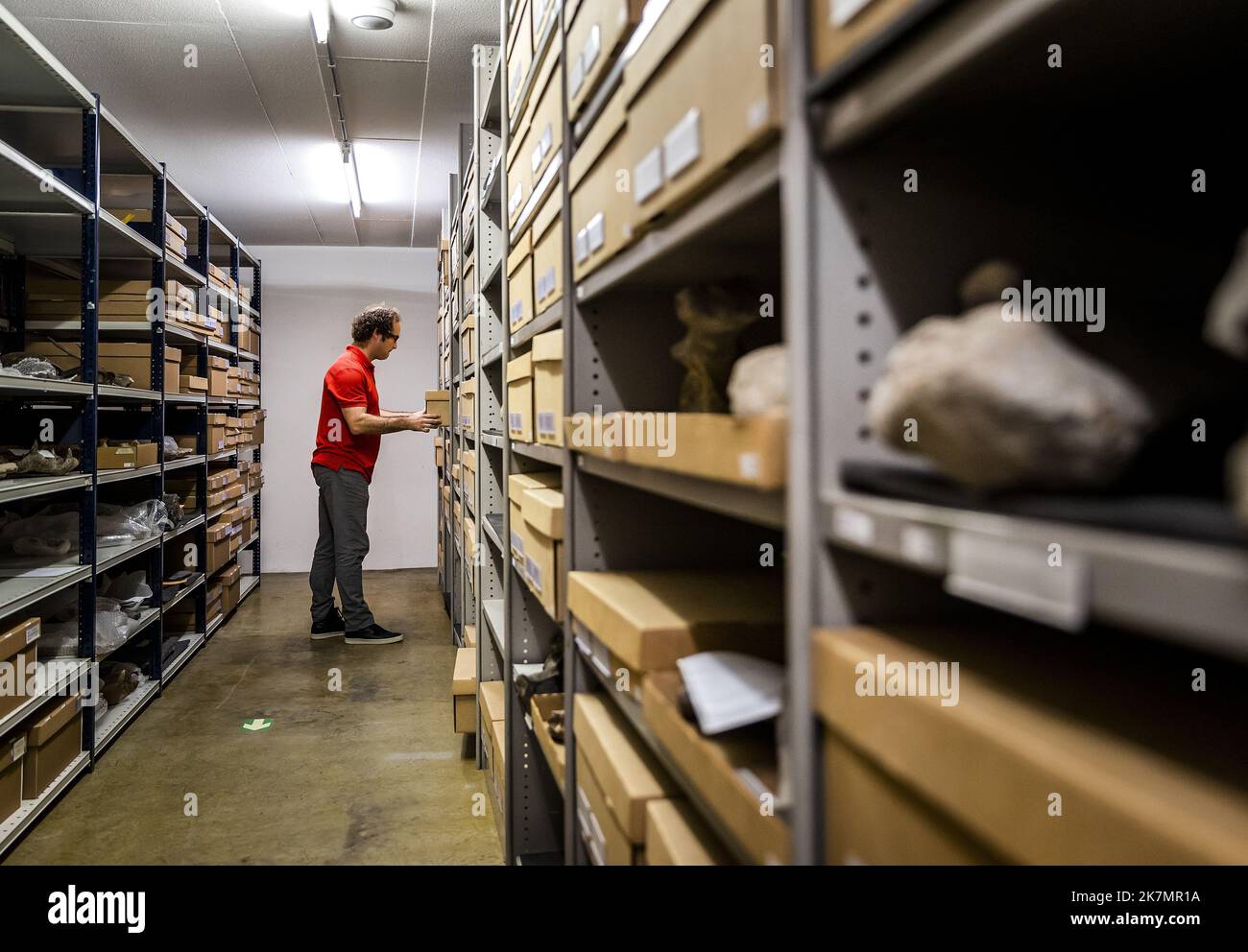 2022-10-18 11:49:51 LEIDEN - Fossils are stored in the collection tower ...