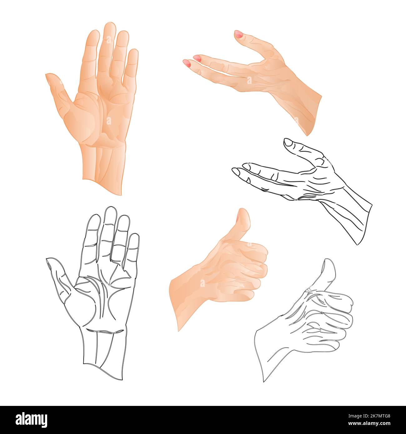 Human hands drawing and outline set two vector illustration Stock ...