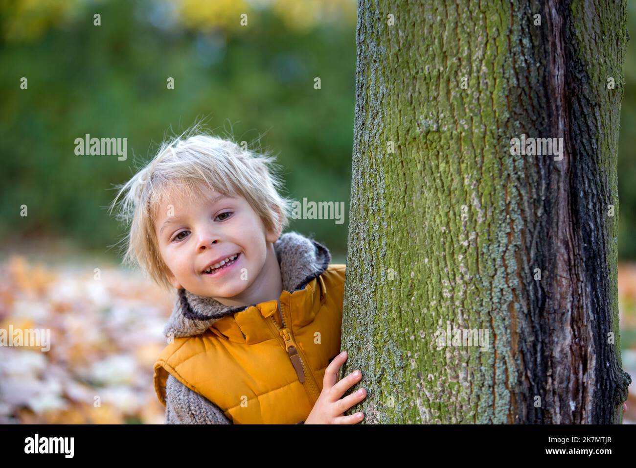 Happy child, playing with in autumn park on a sunny day, foliage and ...