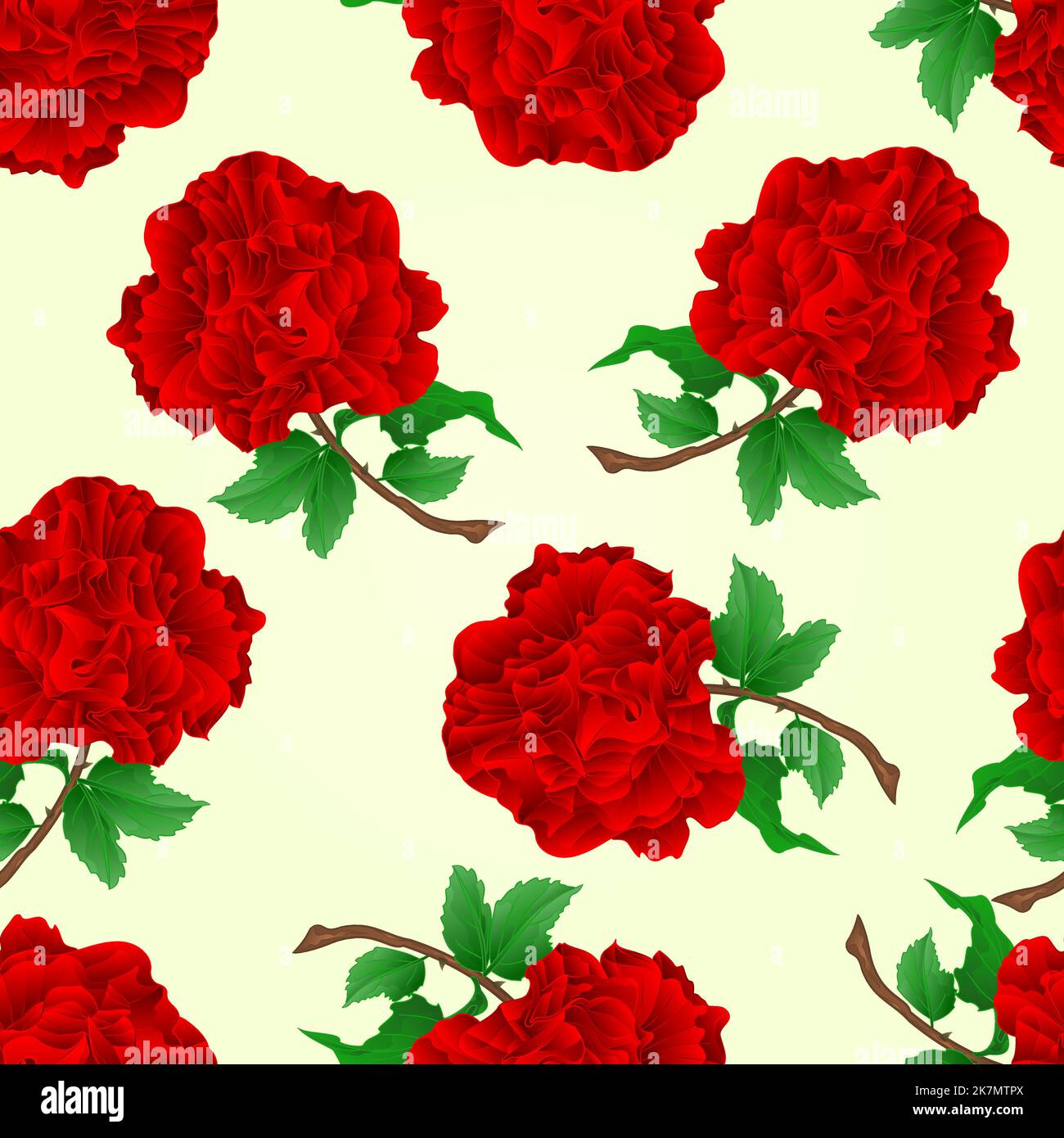 Seamless texture flowers red roses stem with leaves and blossoms ...