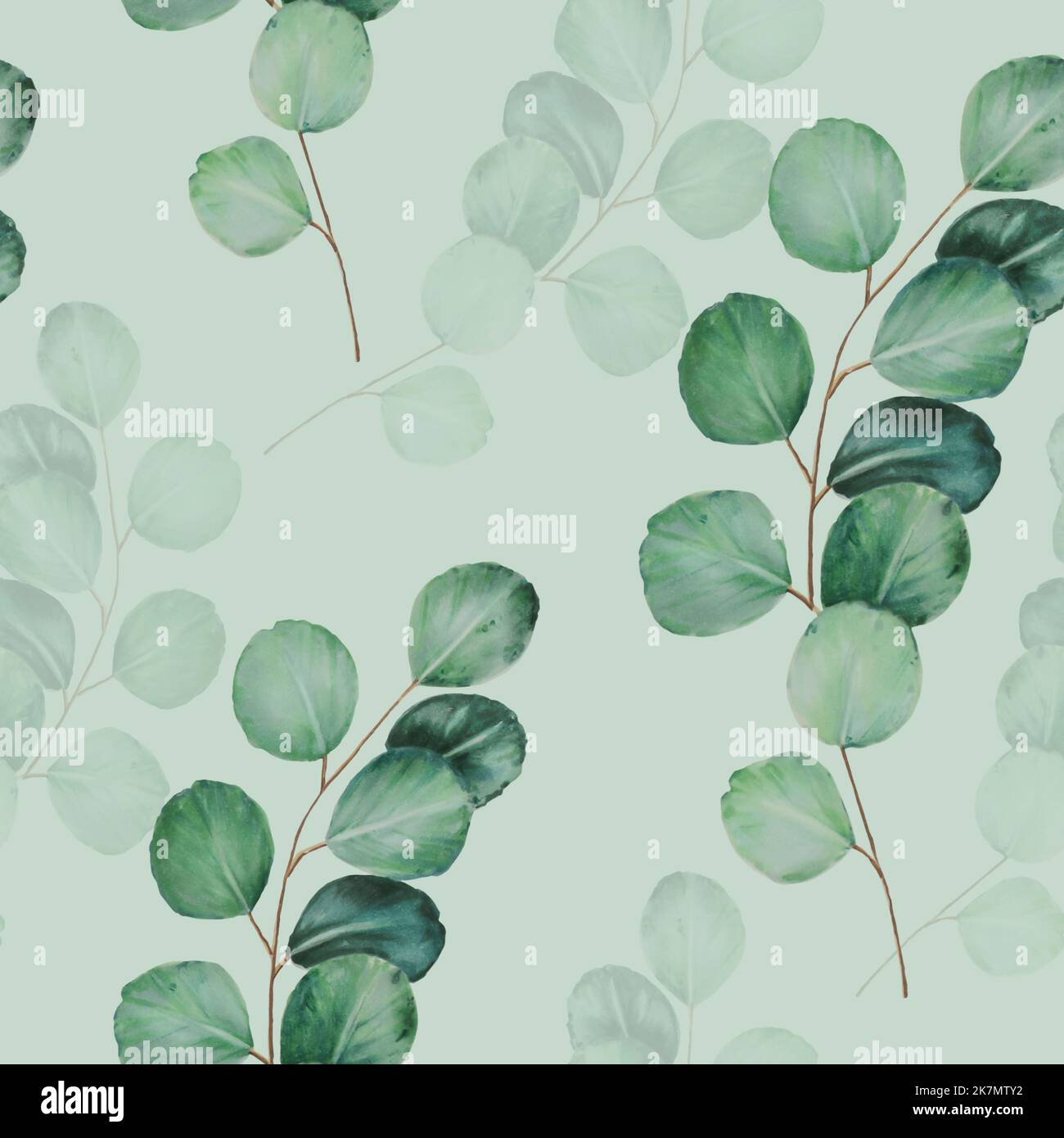 Eucalyptus seamless pattern Stock Photo - Alamy