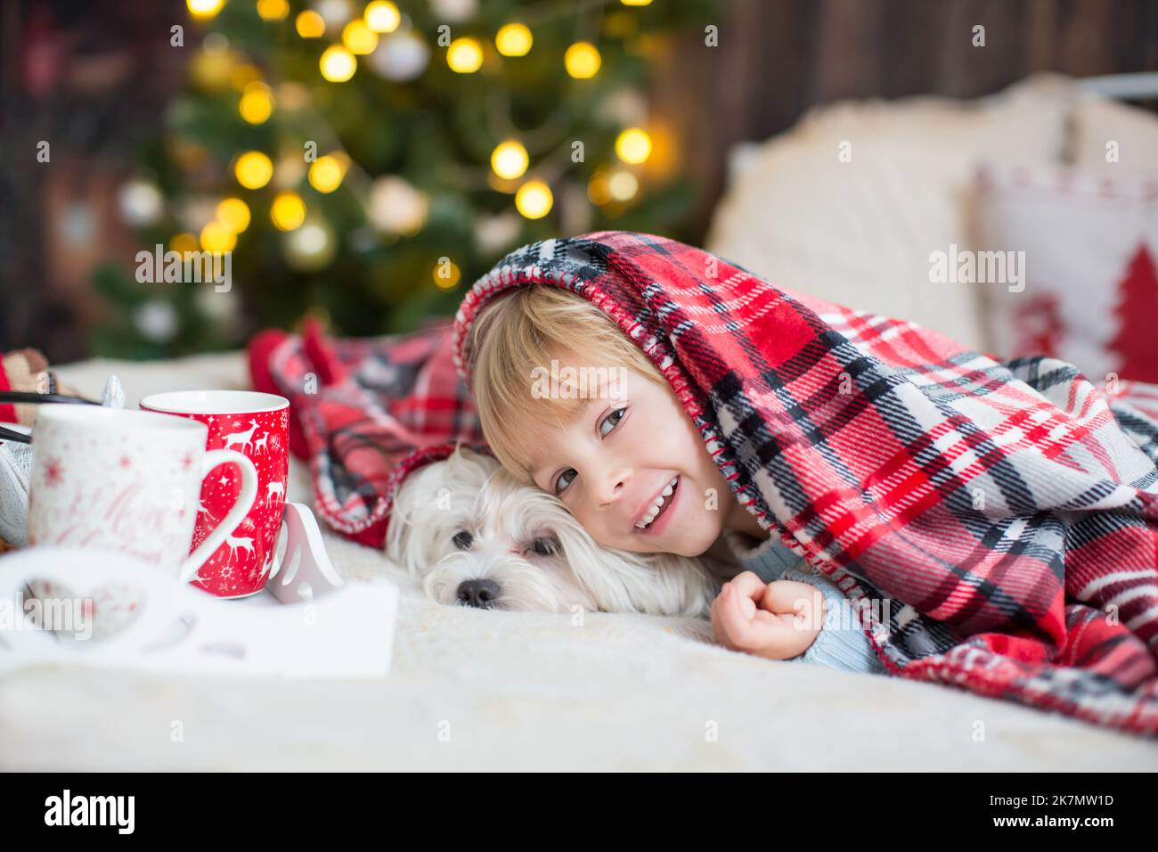 Cute toddler child, boy in a Christmas outfit, playing in a wooden ...