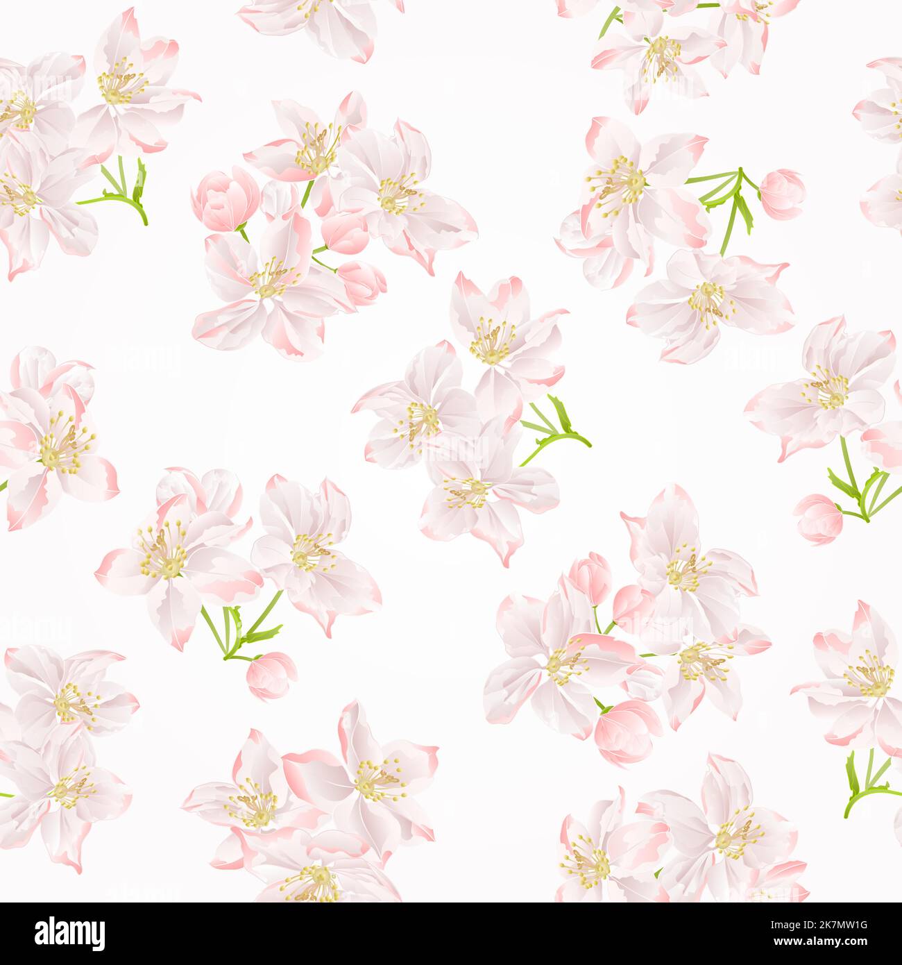 Seamless texture branch of apple tree with flowers vector illustration ...