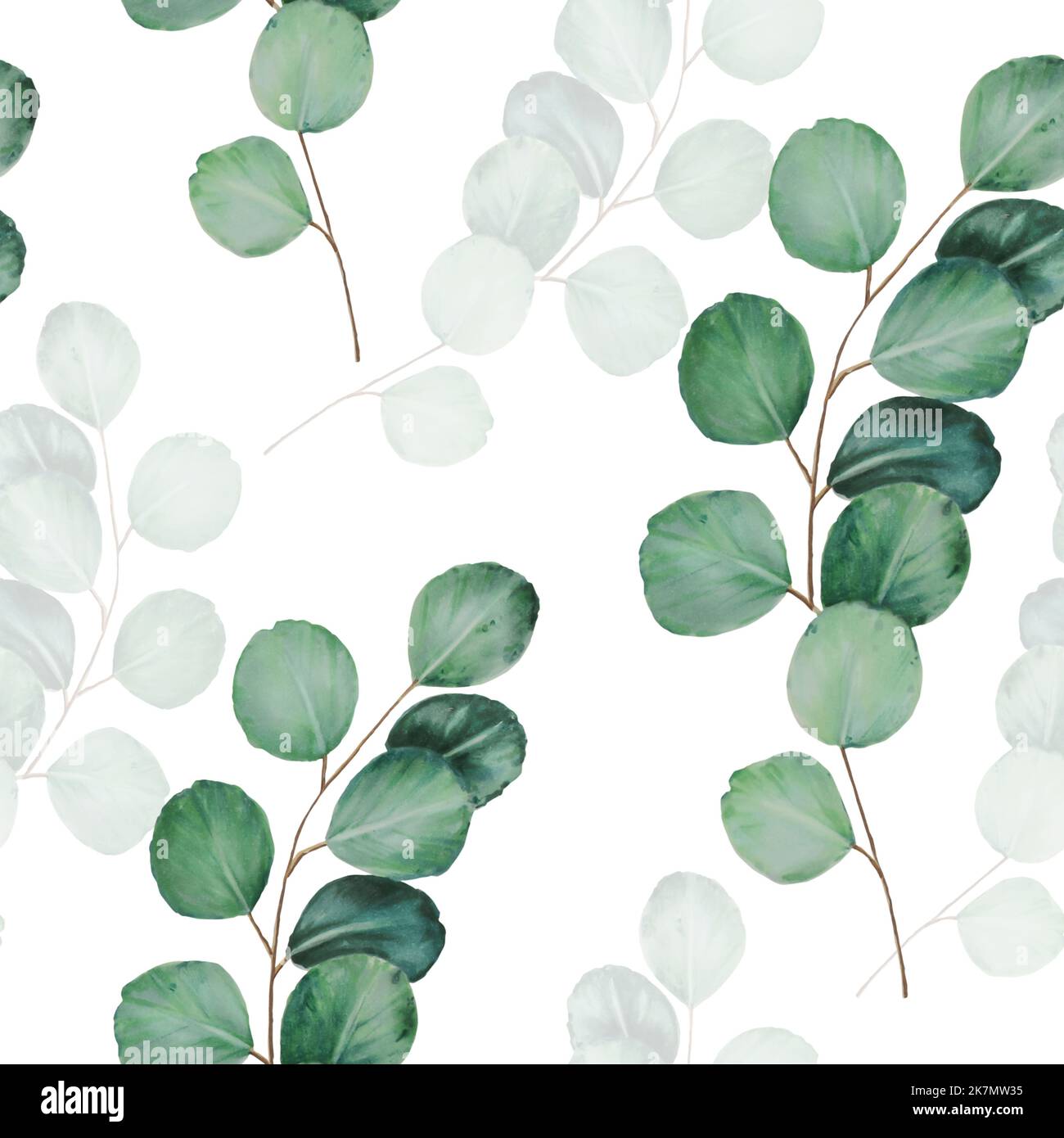 Eucalyptus seamless pattern Stock Photo - Alamy