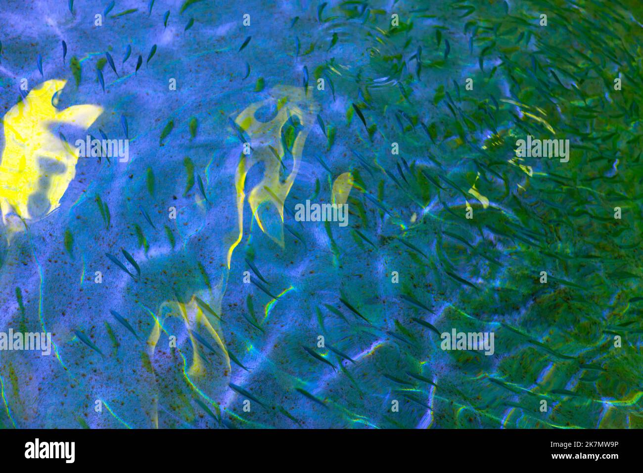 Ghost silhouette reflection in water surface Stock Photo - Alamy