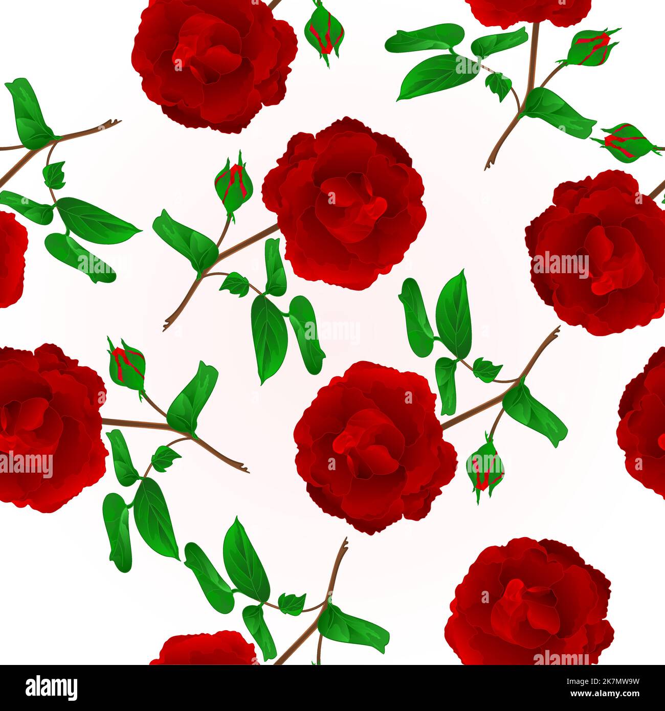Seamless texture twig Purple Rose and bud vintage vector illustration ...
