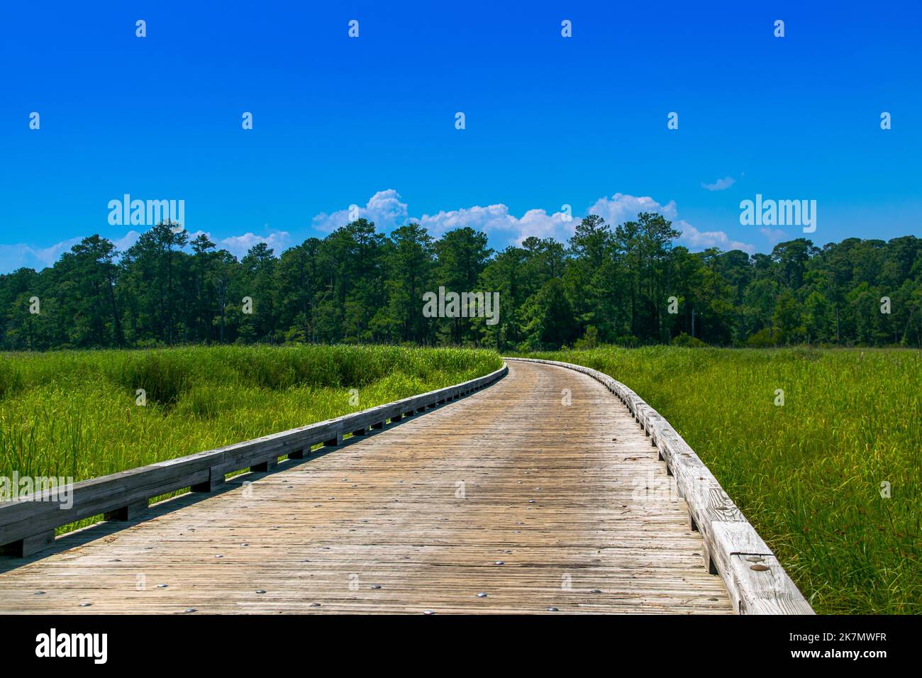 The Cuba marsh forest preserve in Lake County, Illinois Stock Photo - Alamy