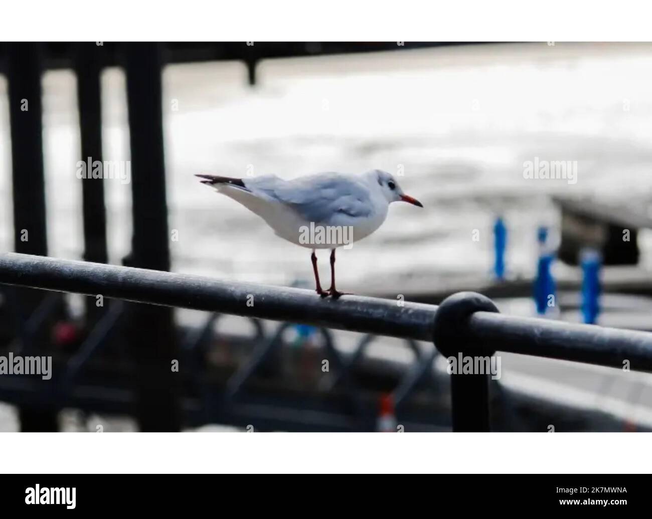 Michael roach pahotography hi-res stock photography and images - Alamy