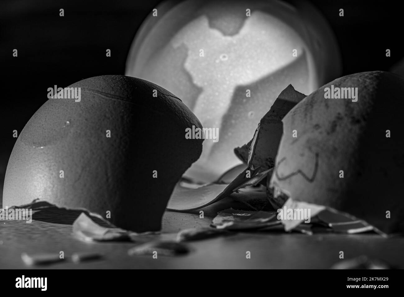 Broken egg shells Black and White Stock Photos & Images - Alamy