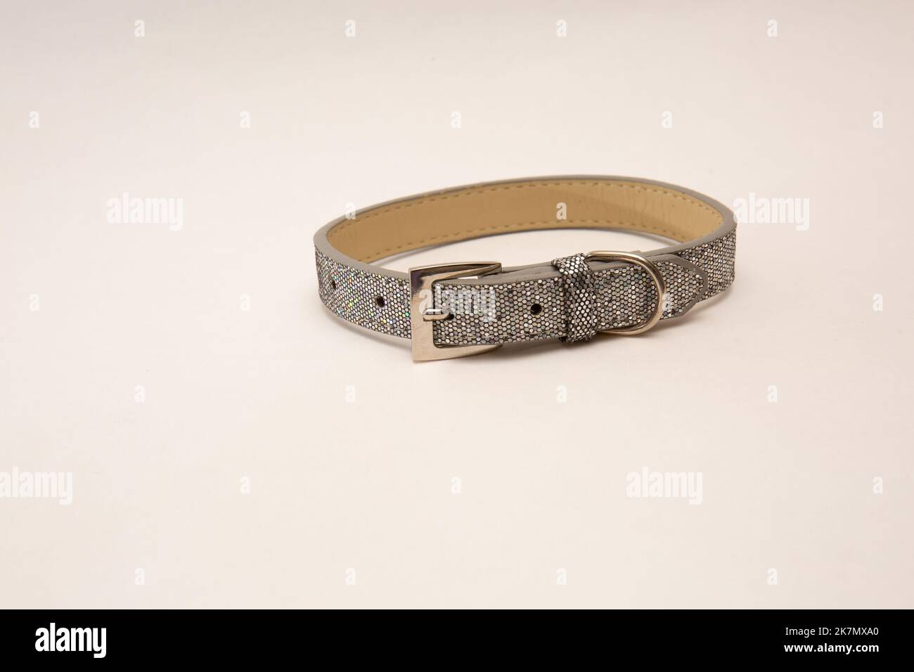 A shiny glittered silver collar isolated on white background Stock ...