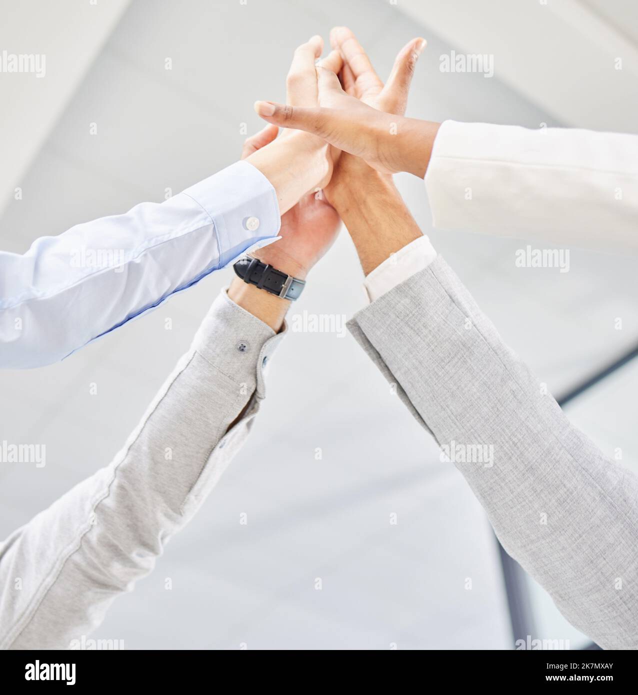 Welcome to the winners circle. a group of businesspeople giving each ...