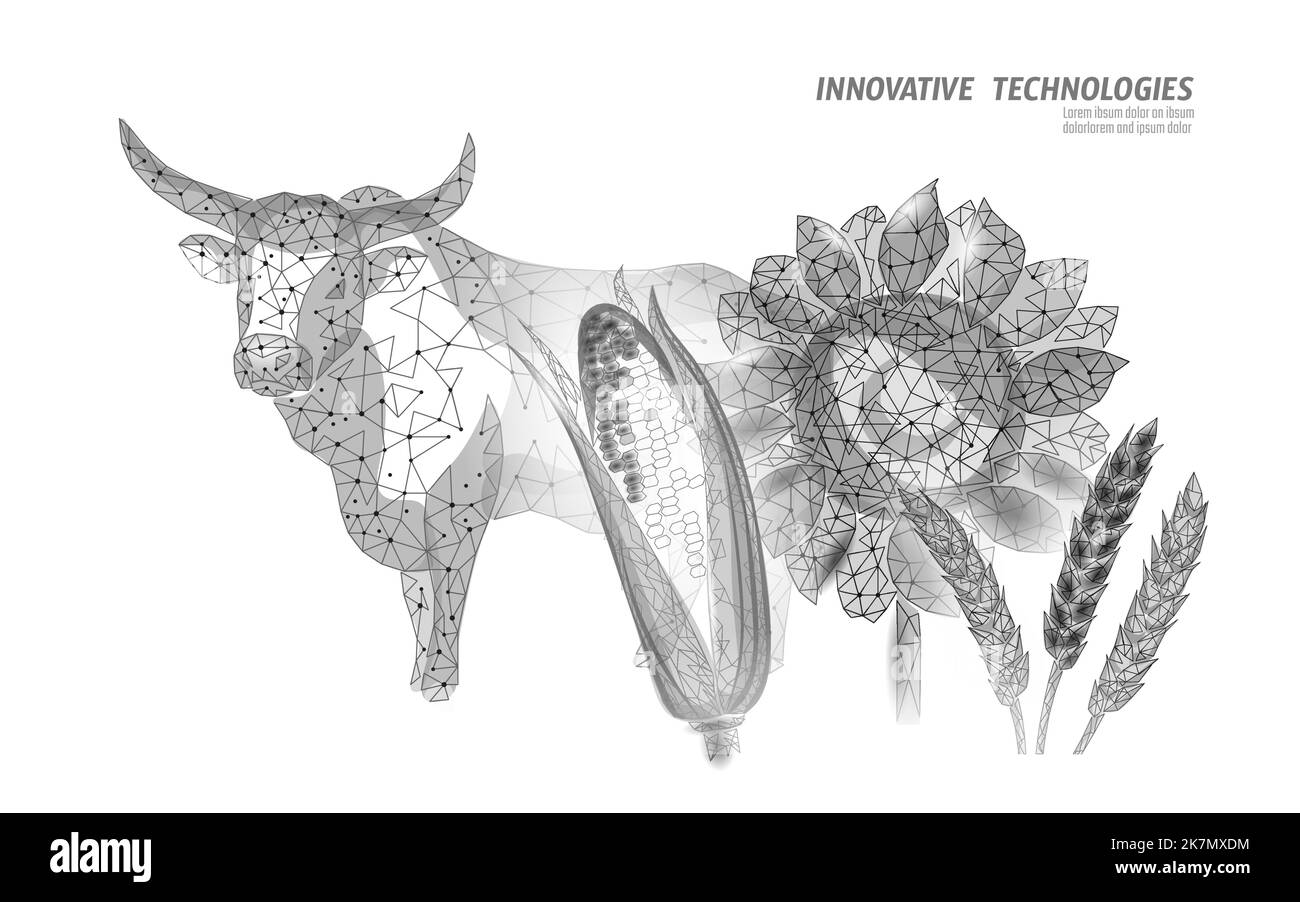 3D wheat ears corn sunflower grain meat beef . World food Day hunger ...