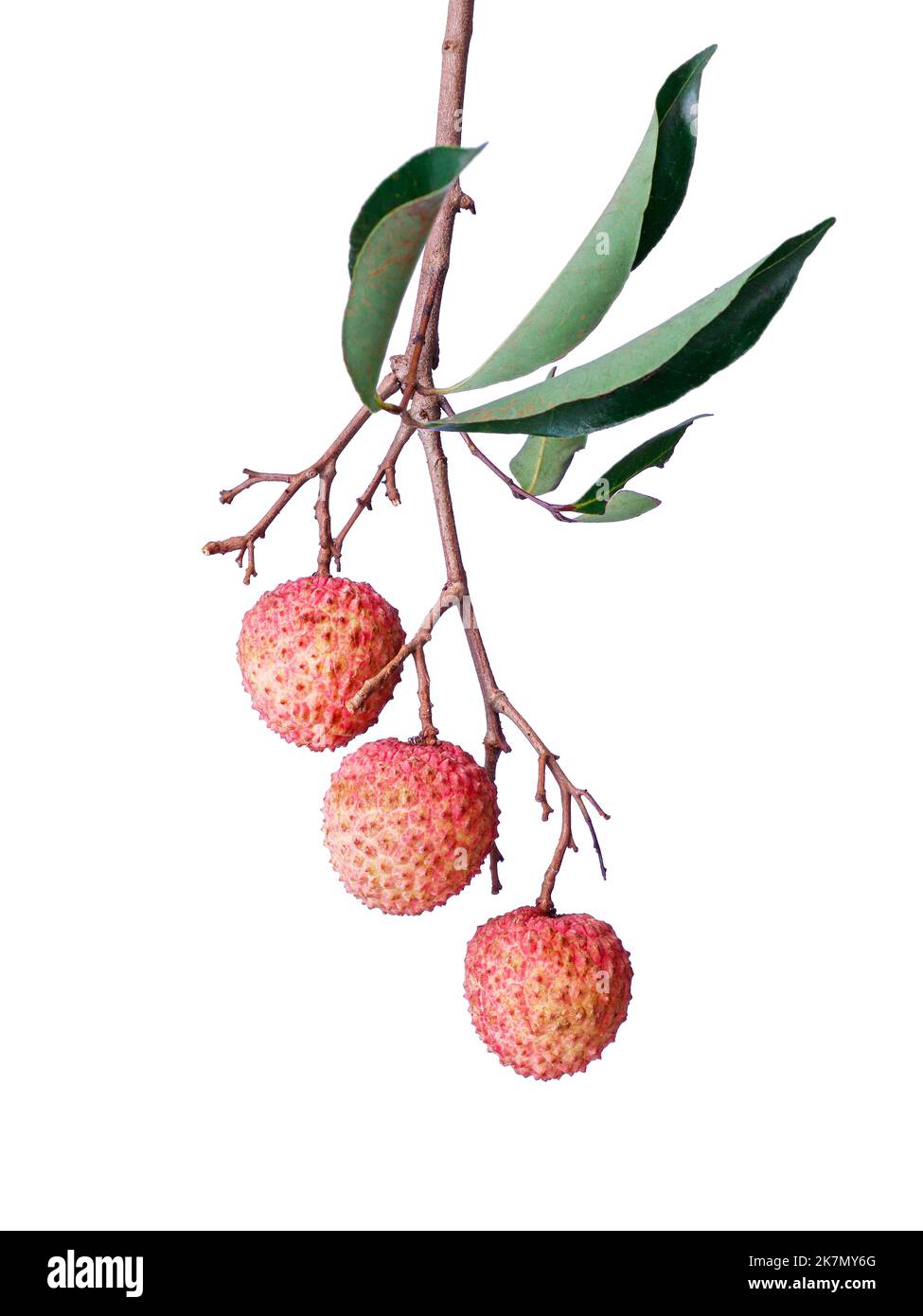 China 3 lychee hi-res stock photography and images - Alamy