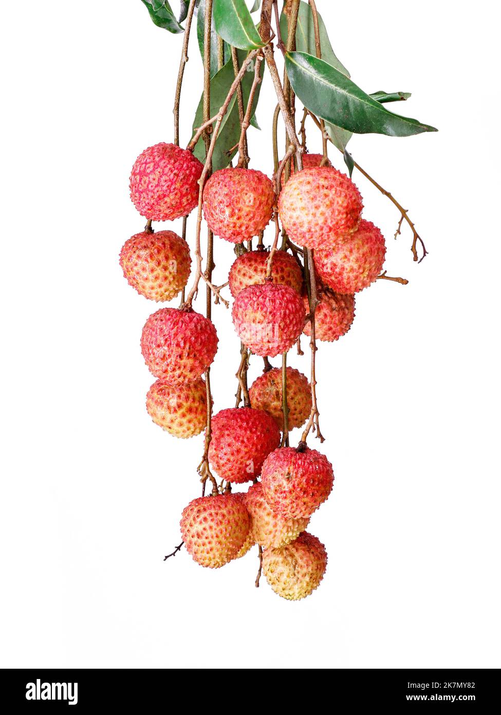 China 3 lychee hi-res stock photography and images - Alamy
