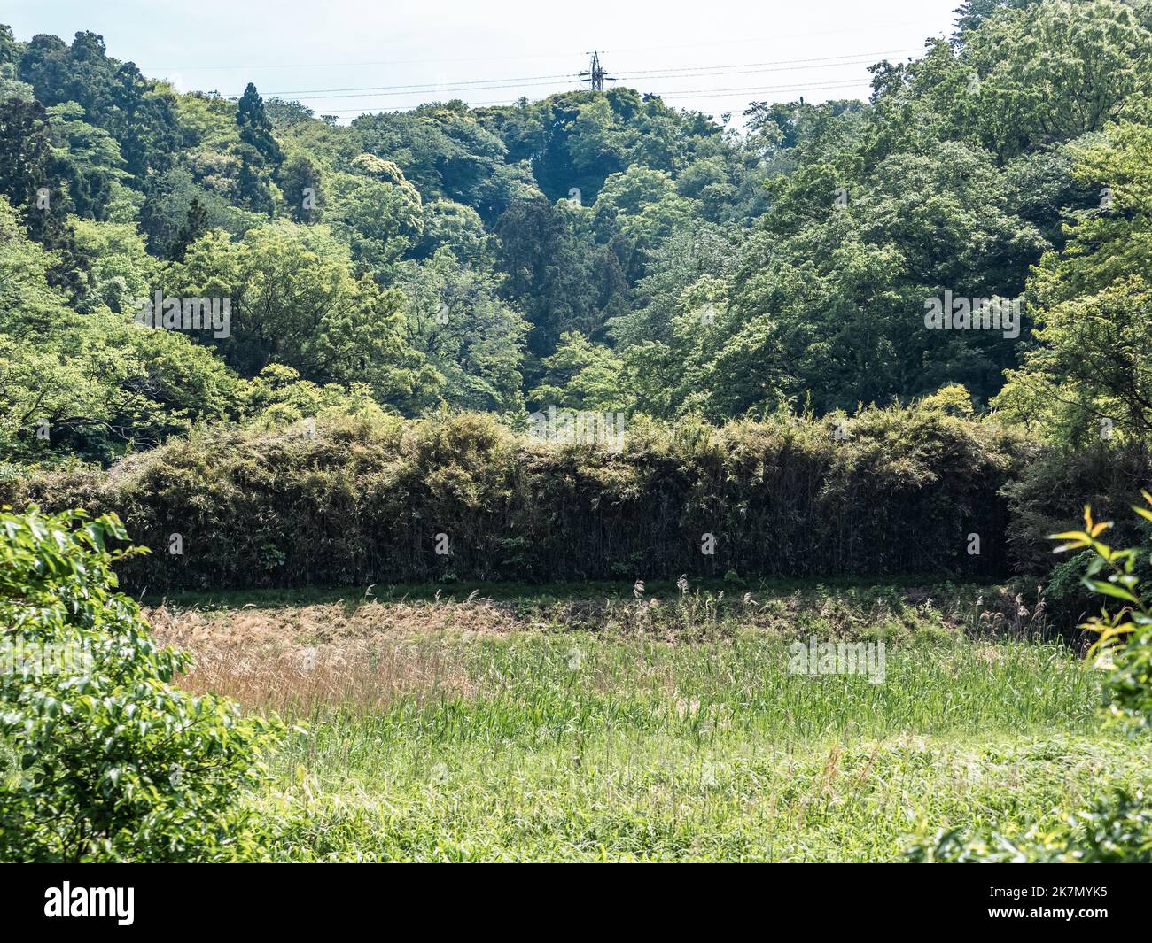 A landscape view of the forested valley in Fujisawa, Japan Stock Photo ...