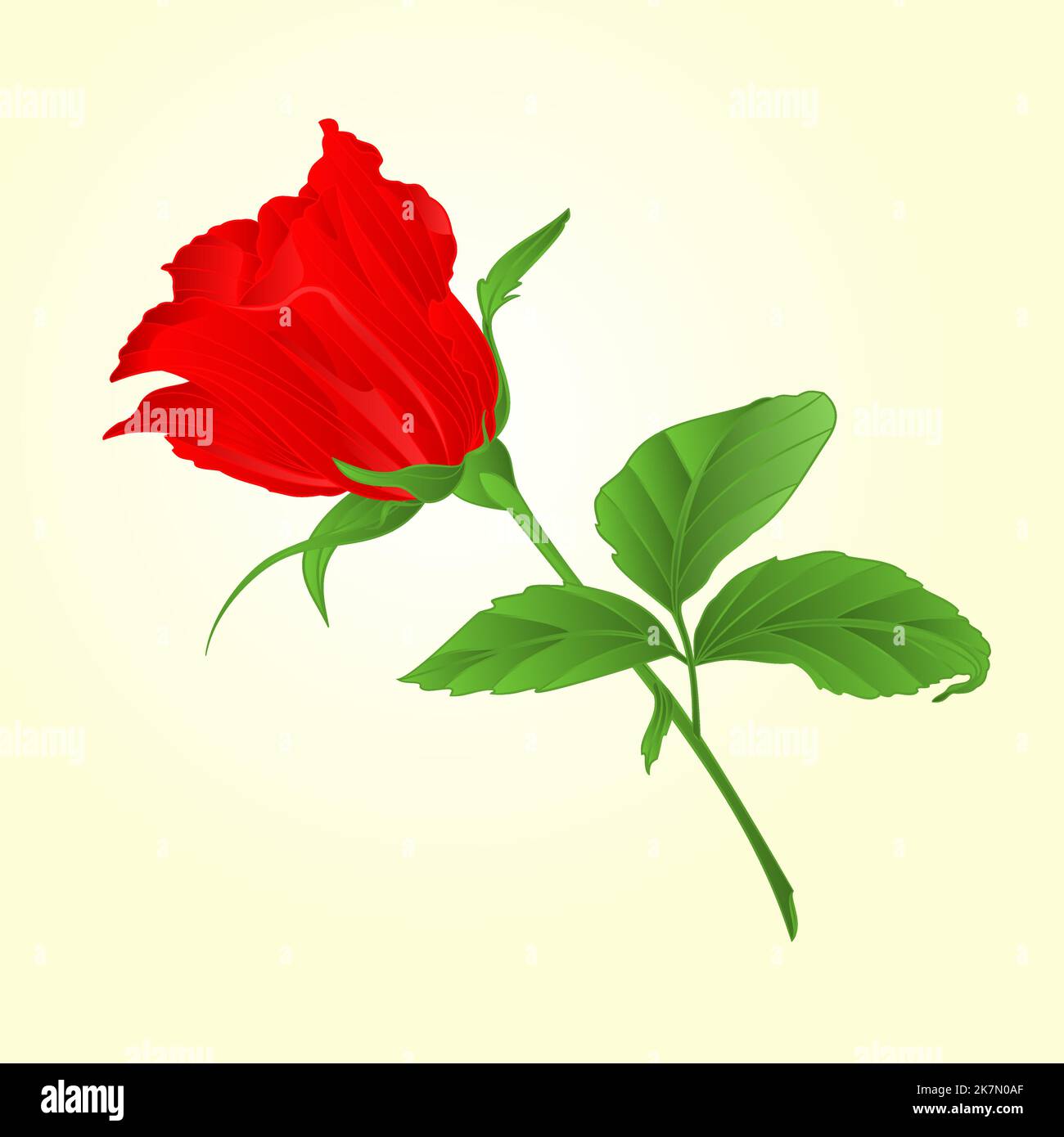 Rosebud red rose tvig with leaves vector illustration Stock Vector ...