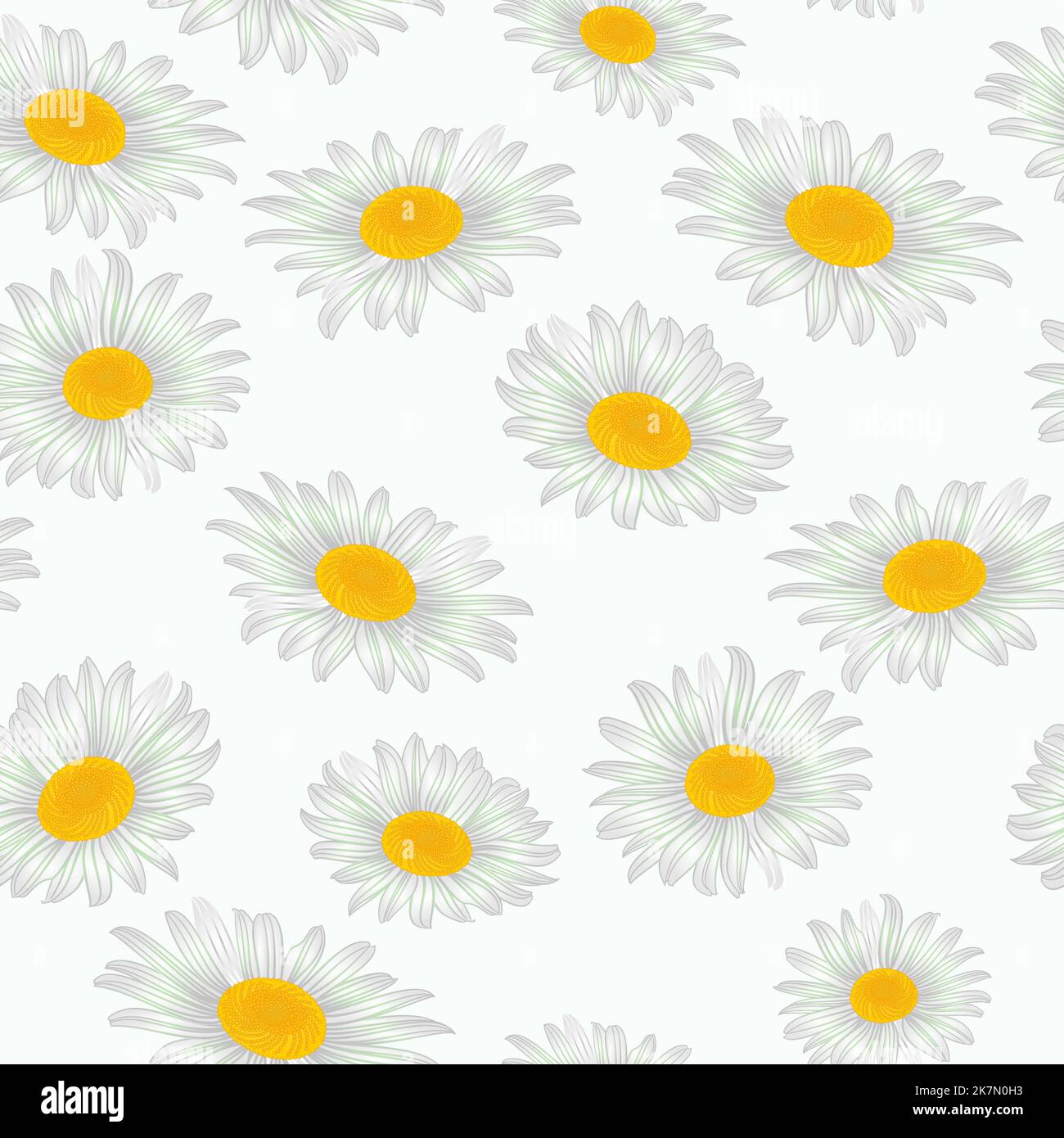 Seamless texture spring white flowers daisies vector illustration Stock ...