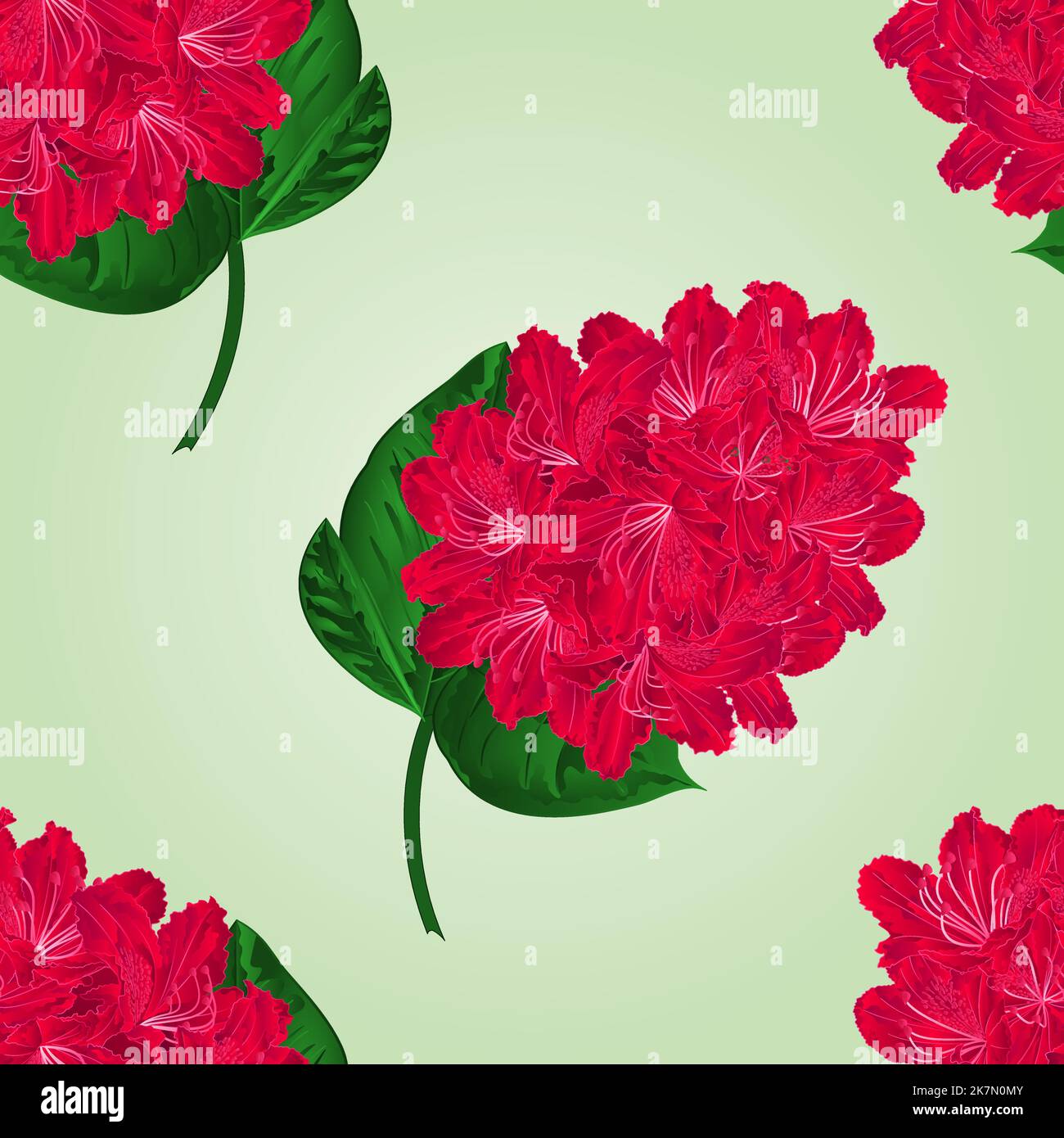 Spring rhododendron flower in Stock Vector Images - Alamy