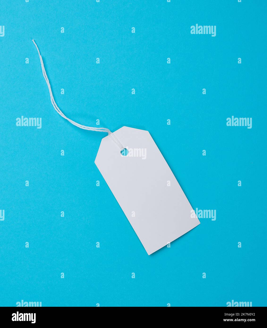 Empty white cardboard tag on a white rope, blue background. Price tag ...