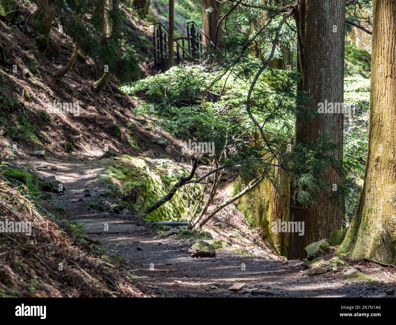 A mountainside hiking trail near Oyama Afuri Shrine, Isehara, Japan ...
