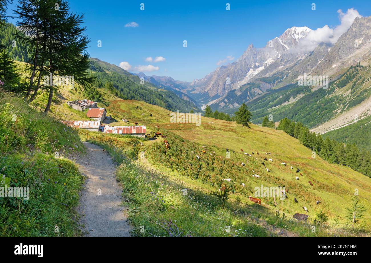 The Mont Blanc massif from Val Ferret valley in Italy Stock Photo - Alamy