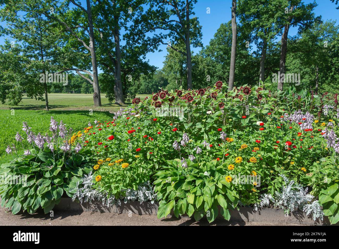 Flower garden of a complex pattern, which uses a variety of plants ...